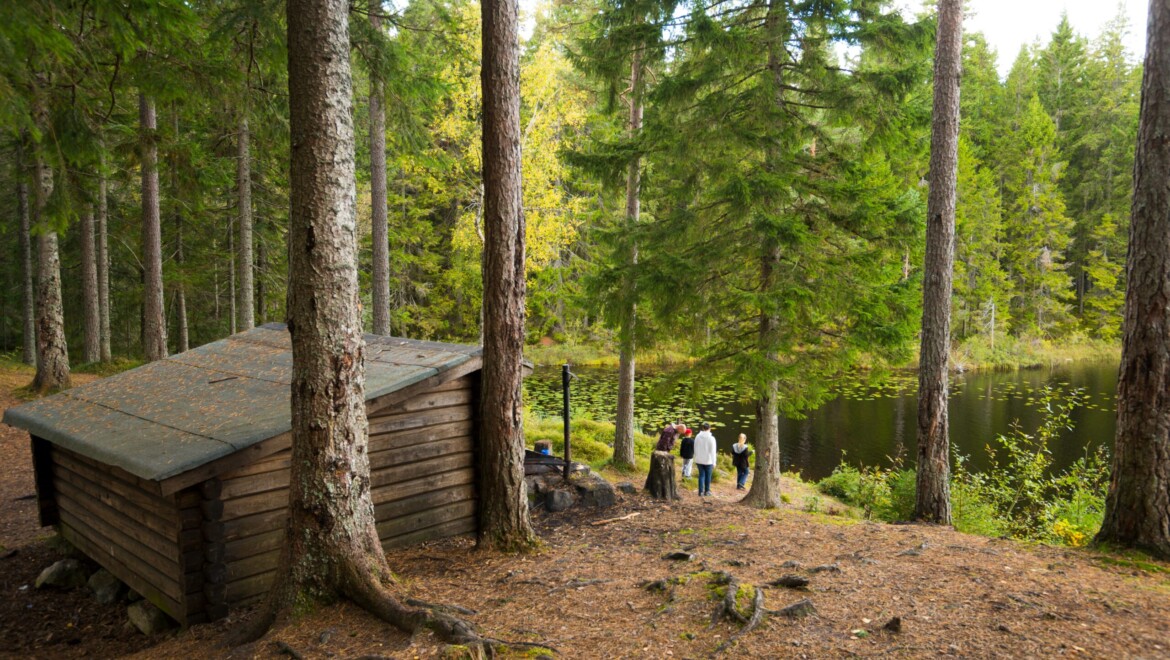Vildmark och friluftsliv i Kilsbergen - Visit Örebro